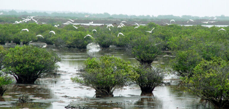 Exploring the National Parks & Nature Reserves in Red River Delta ...